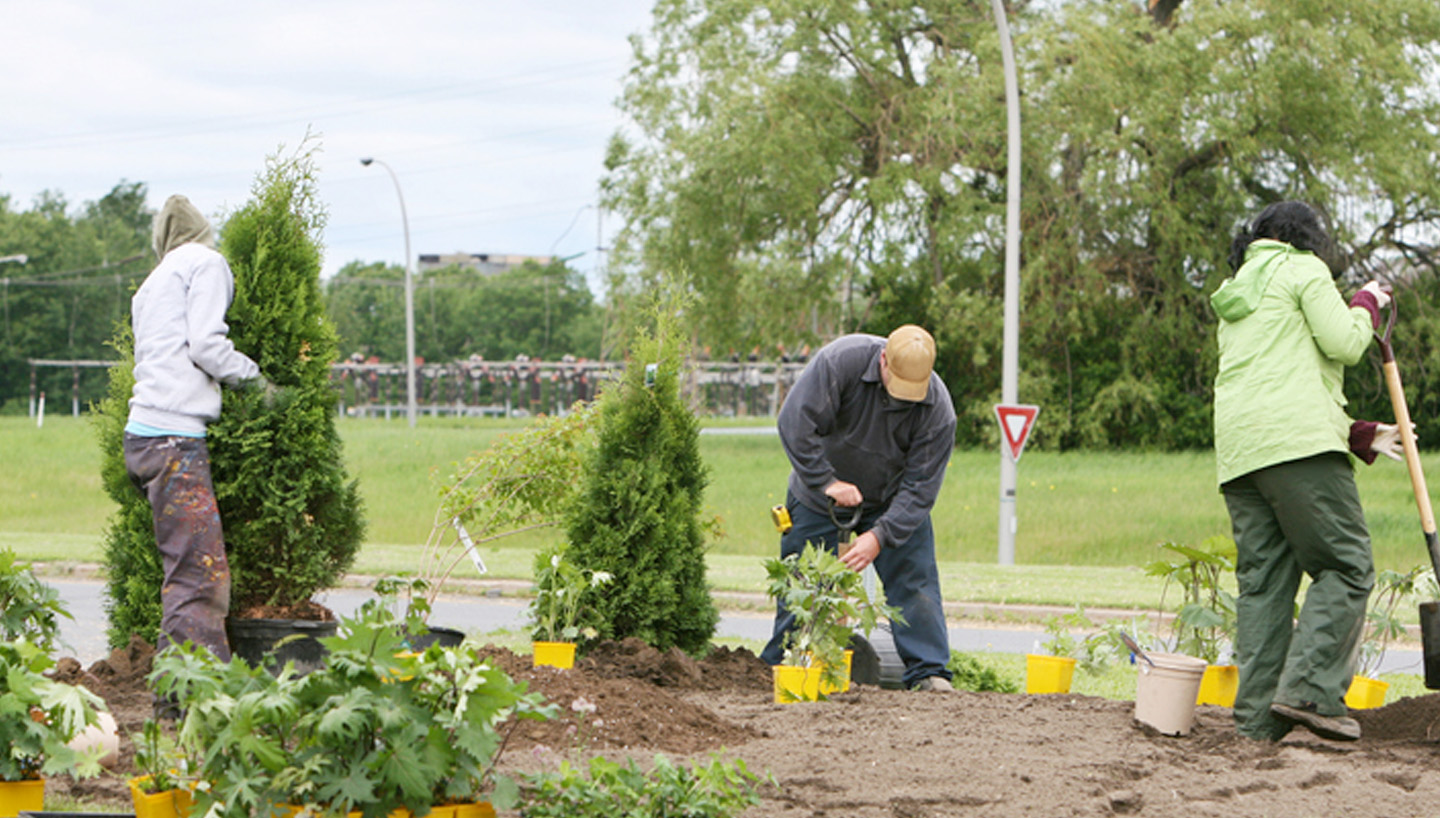 The Greening of Detroit - Community Reinvestment Fund, USA