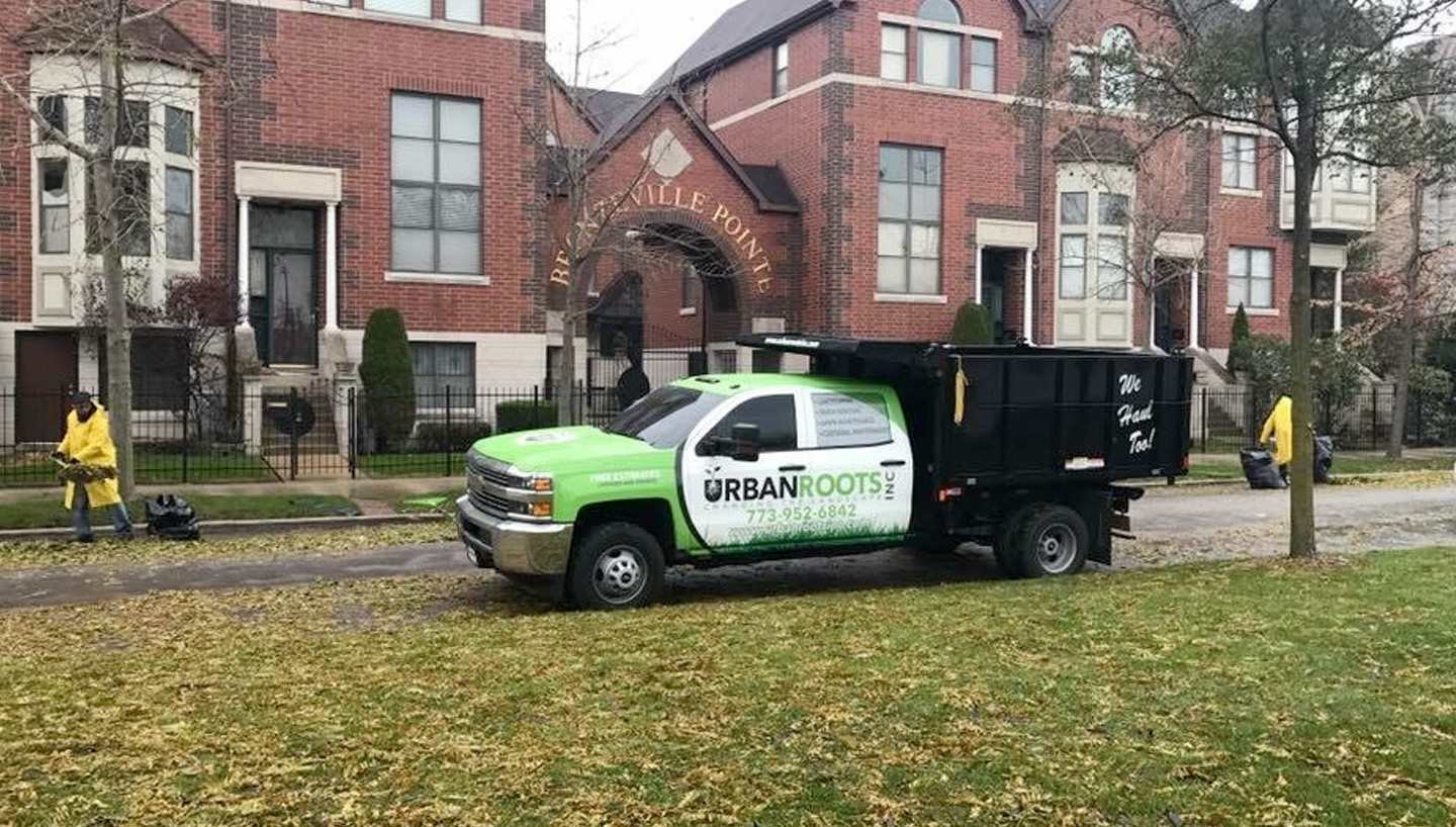 Urban Roots - Community Reinvestment Fund, USA